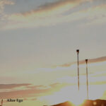 Release Archive | Playwright